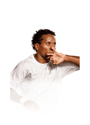 Ze Roberto